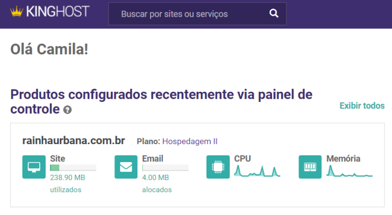 Como criar uma loja virtual no Wordpress - Seja Ceo